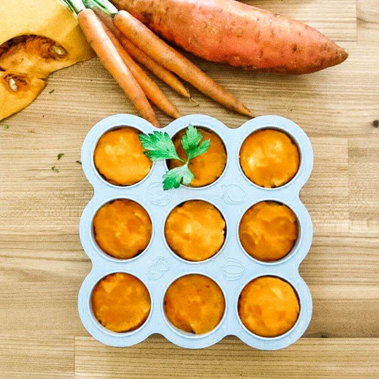 Freezer Pods - The Best Baby Food Freezer Tray – Wean Meister