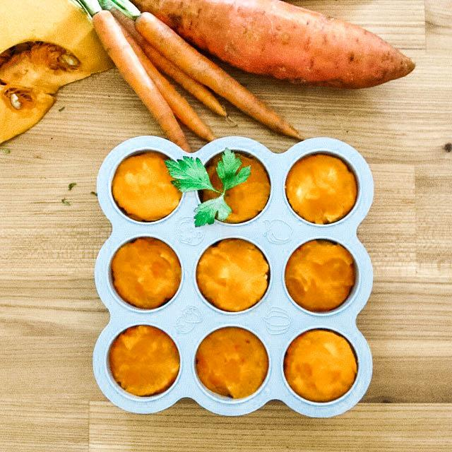 Freezer Pods - The Best Baby Food Freezer Tray – Wean Meister